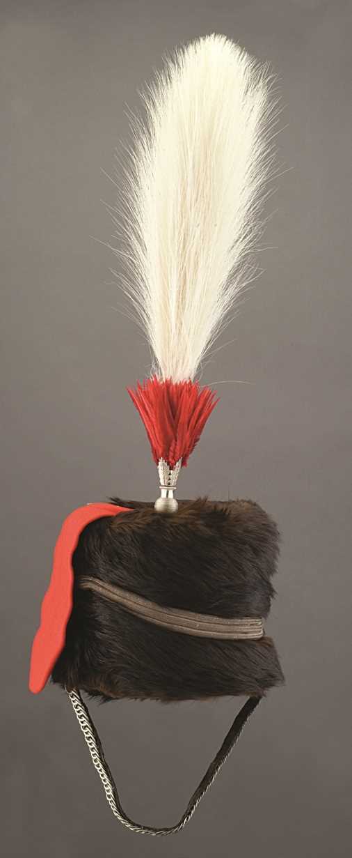 Lot 223 - A CASED HUSSAR OFFICER'S BUSBY