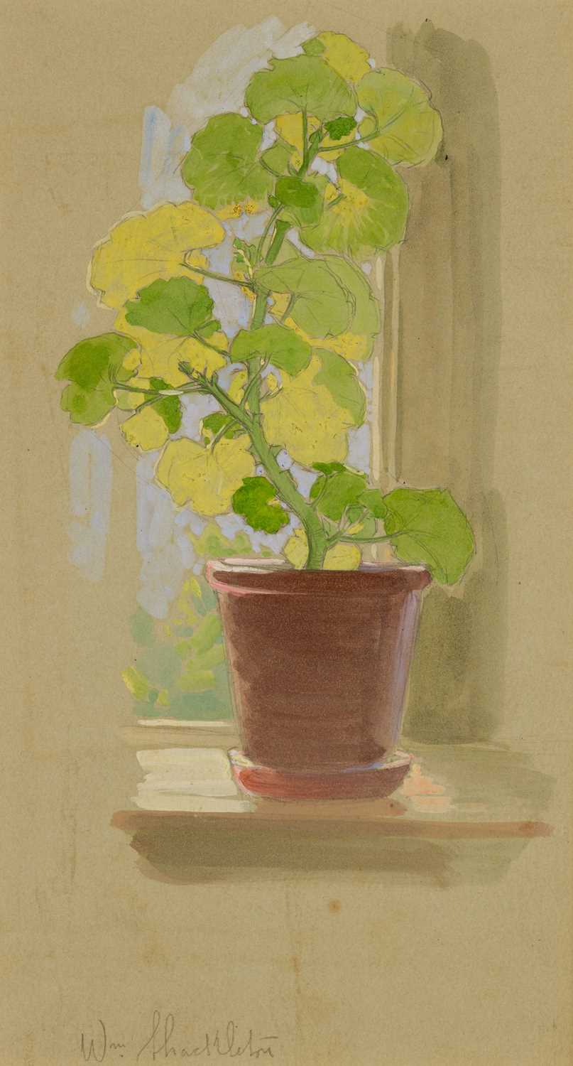 Lot 178 - WILLIAM SHACKLETON