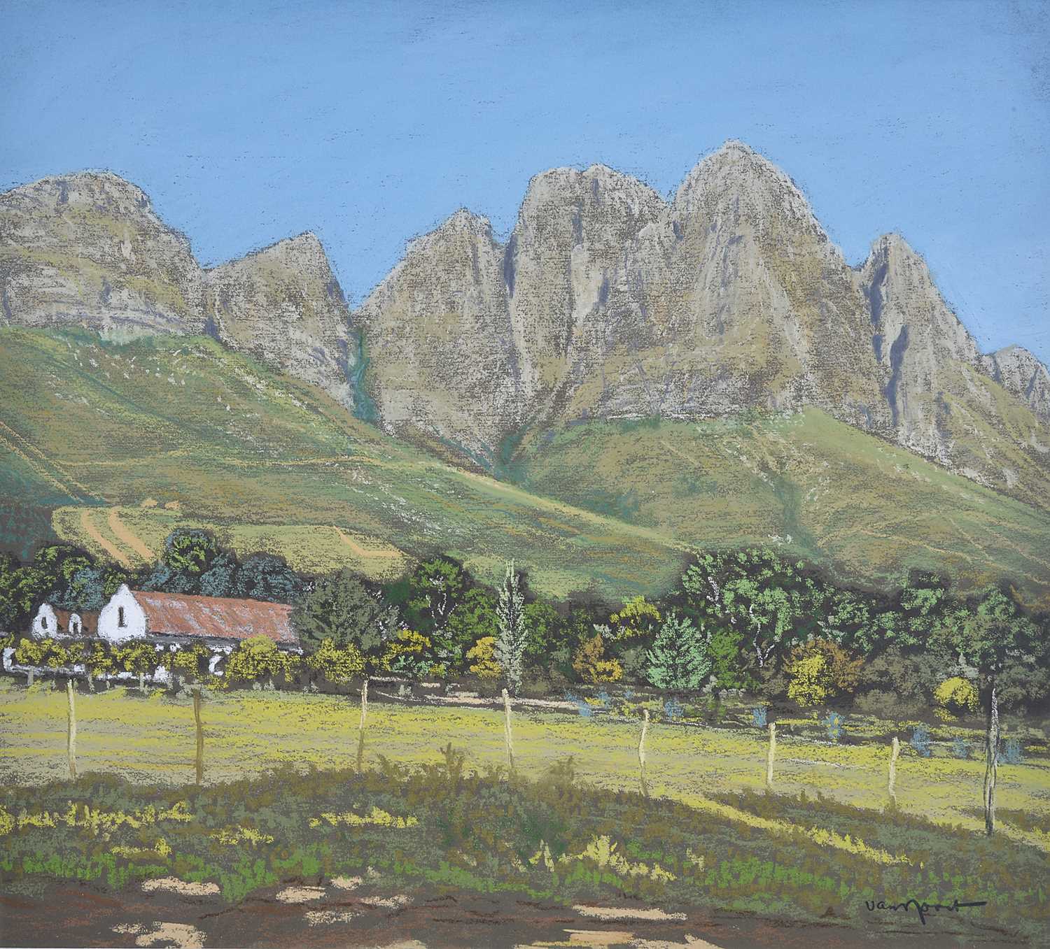 Lot 80 - TONY VAN NOORT