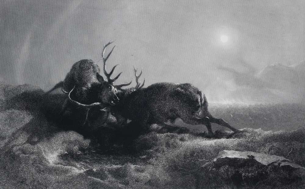 Lot 94 - *SIR EDWIN HENRY LANDSEER
